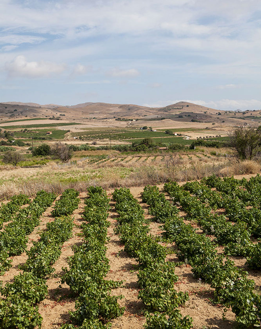 Limnos - Limnos Wines